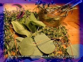 Erzulies Voodoo - Herbs For Hexing & Herbs of the Darker Arts for ...